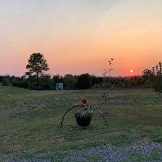 Pine Tree RV Park - Okemah, Oklahoma - RV LIFE Campground Reviews